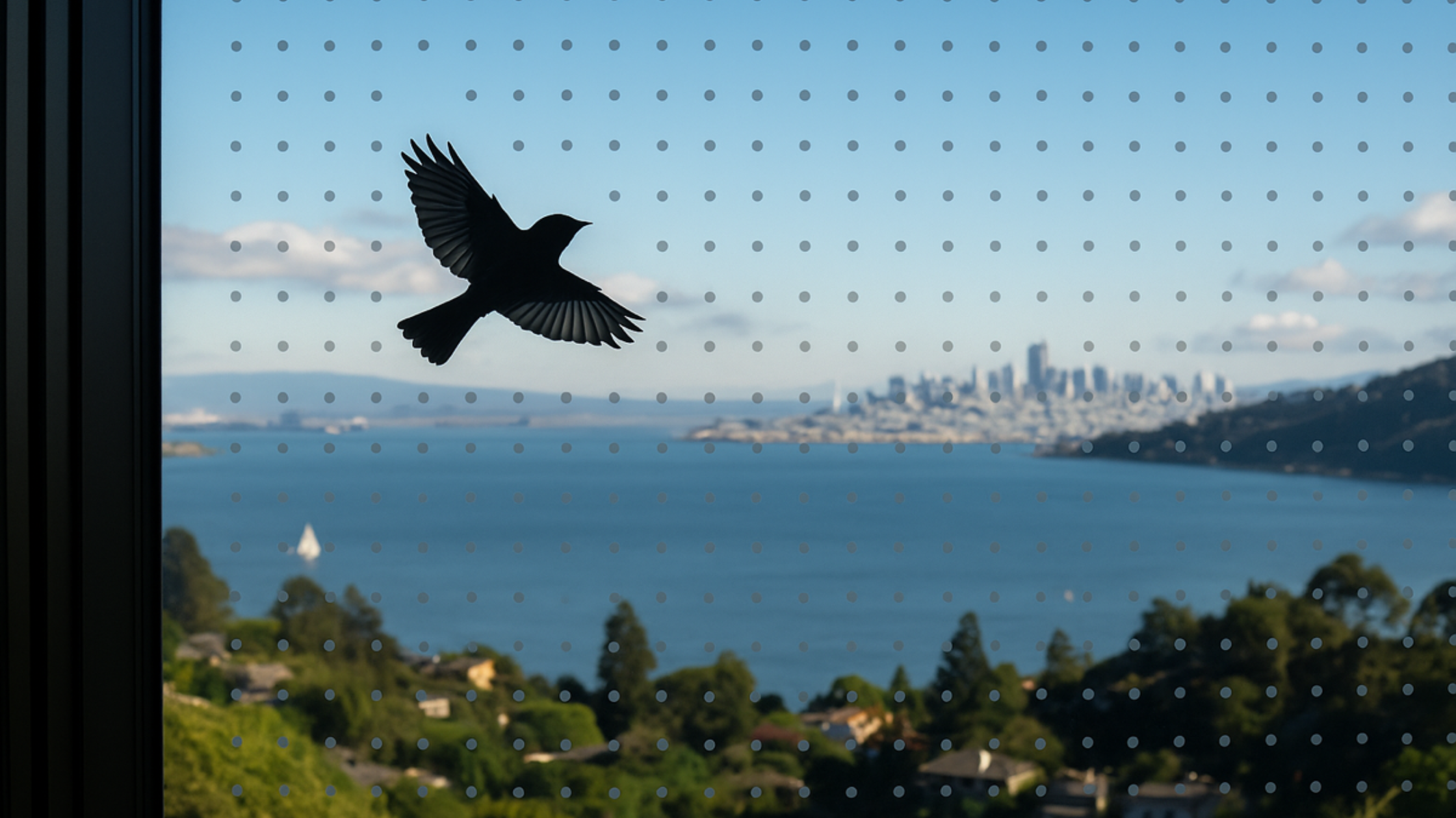 Bird Safety Film: Protect Migrating Birds from Window Strikes
